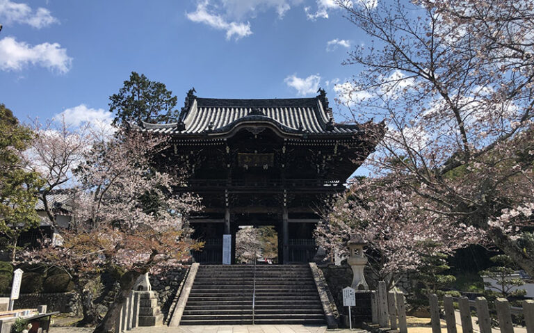 Negoroji temple-Headquarters of the Shingi Shingon sect | Wakayama ...