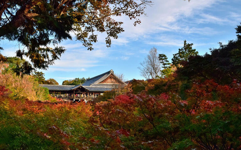 Tofukuji Temple -Place of Autumn Foliage | Kyoto - Found Japan (English)