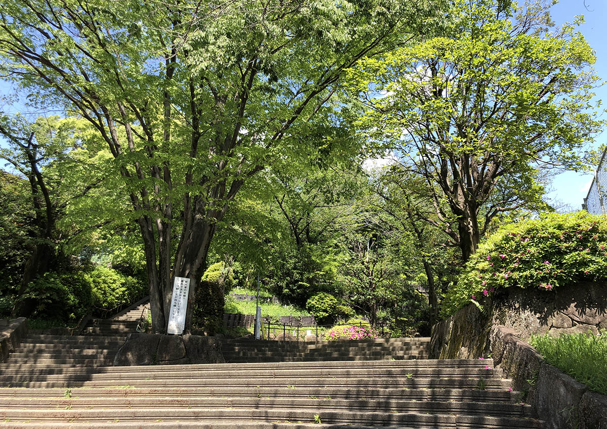 Tokyo stroll | Stroll in Daikanyama, an adult town that began with ...