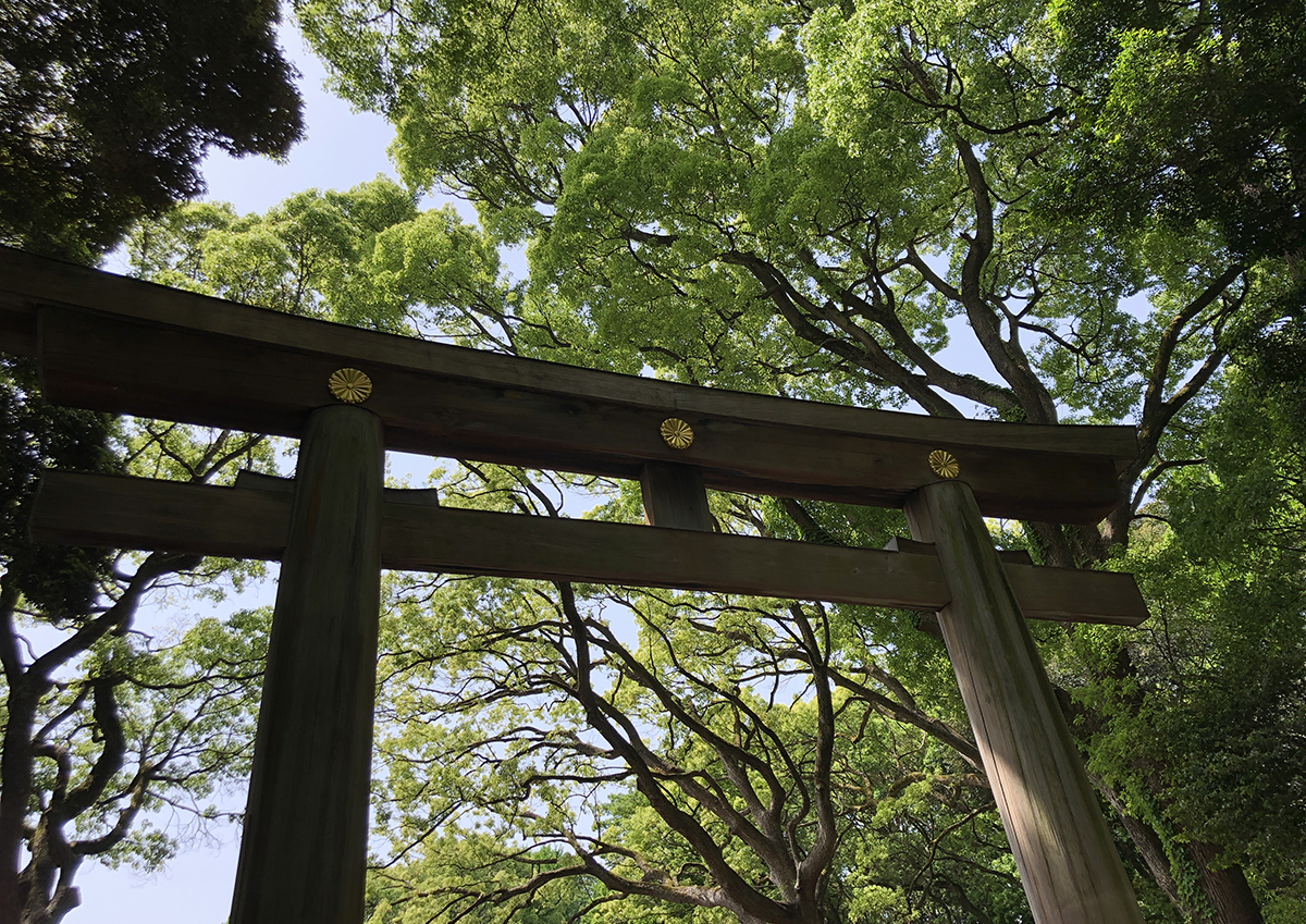 Meiji Jingu Shrine -A step away from the hustle and bustle of Harajuku ...