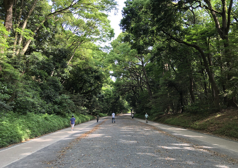 Meiji Jingu Shrine -A step away from the hustle and bustle of Harajuku ...