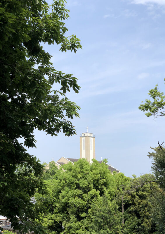Tokyo | Stroll Through The town of Denenchofu and the Tama River ...