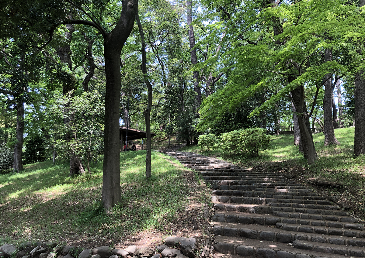 Tokyo stroll | Stroll Through The town of Denenchofu and the Tama River ...