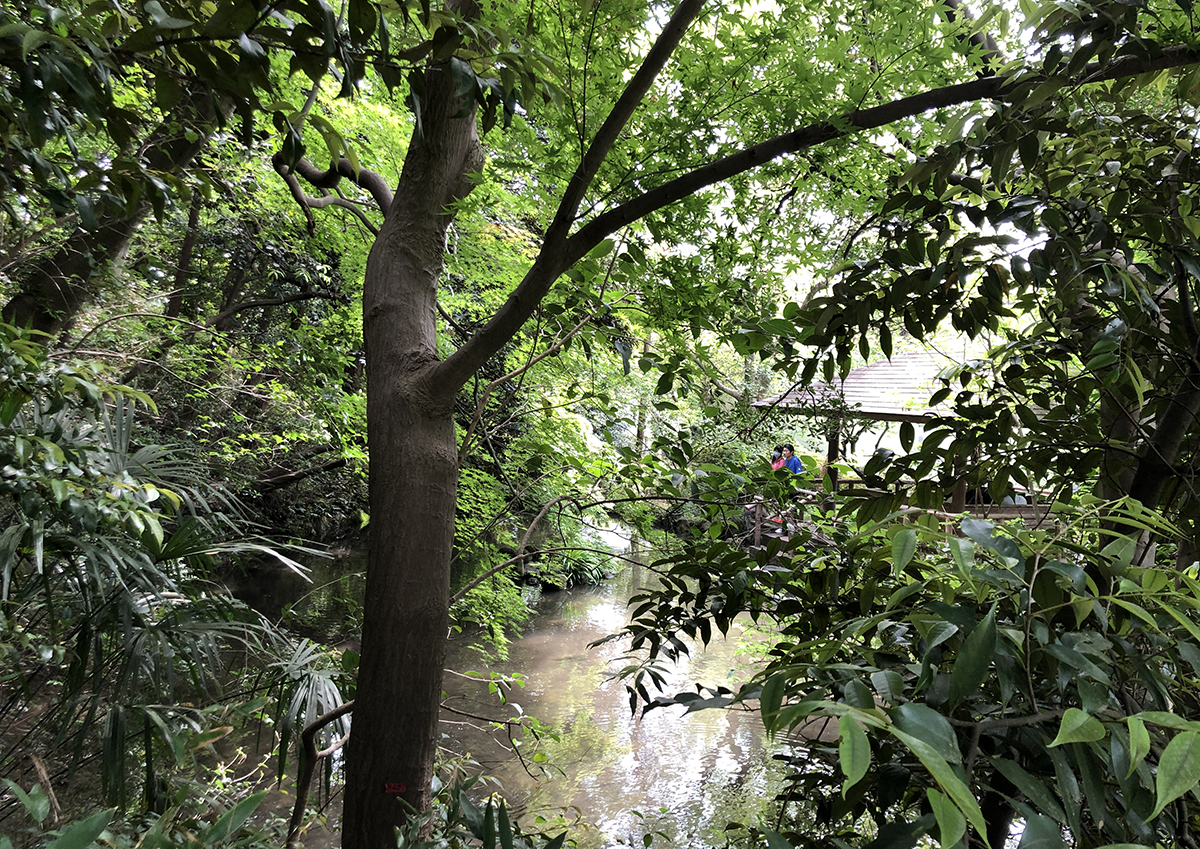 Tokyo stroll | Stroll Through The town of Denenchofu and the Tama River ...