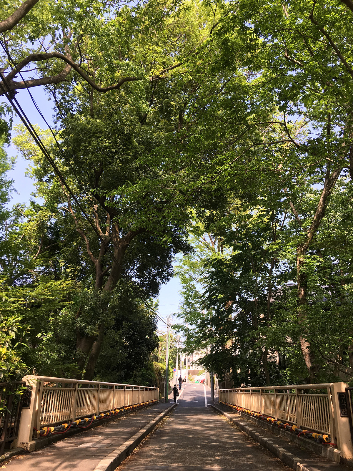 Tokyo stroll ｜ Todoroki Valley and Kuhonbutsu - Found Japan (English)