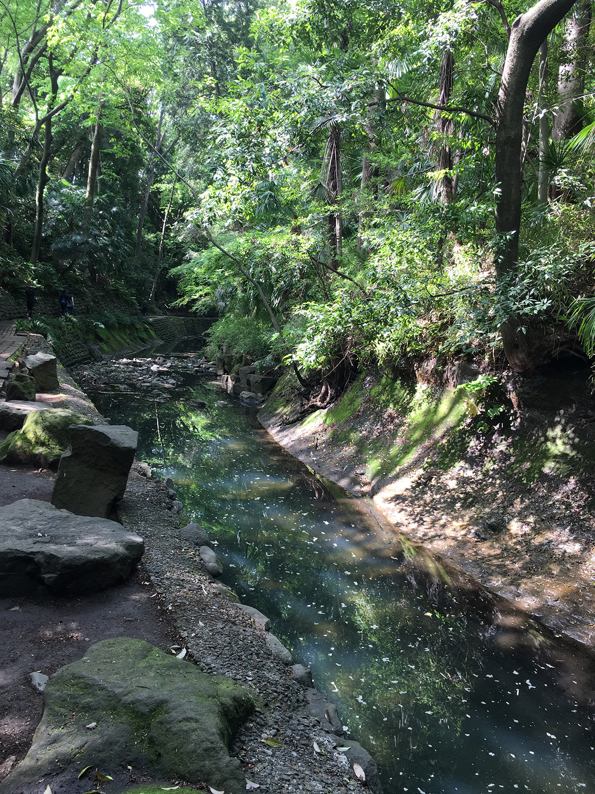 Tokyo stroll ｜ Todoroki Valley and Kuhonbutsu - Found Japan (English)