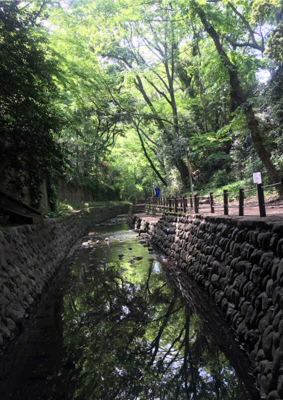 Tokyo ｜Todoroki Valley and Kuhonbutsu - Found Japan (English)