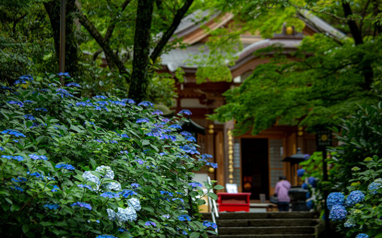 Takahata Fudoson Kongoji Temple is one of the three major fudos in the ...